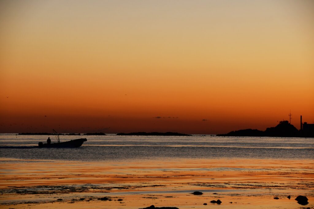 【記事】高水温、北海道南部の漁業直撃 特産マコンブにプランクトン付着、サケ漁振るわず / 北海道新聞 - NPO法人アプカス