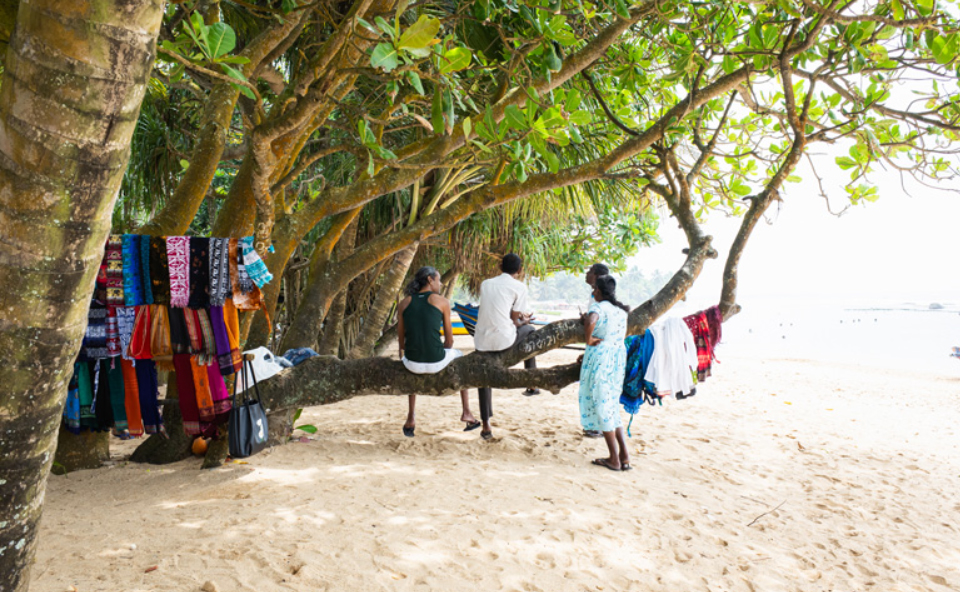 【記事】バワ建築に触れ、シーギリヤロックに登る 心震わせるスリランカ旅（朝日新聞/あの街の素顔） - NPO法人アプカス